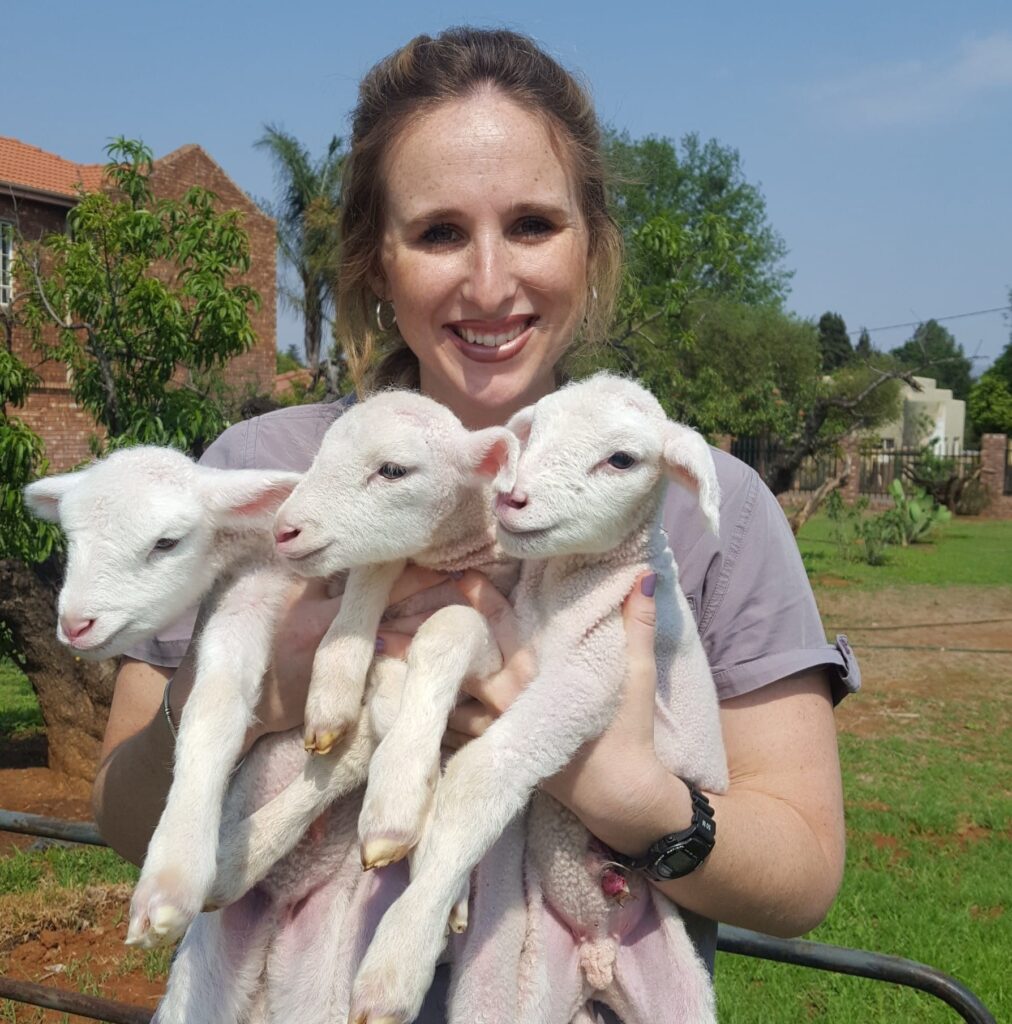 About – Wildlife Vet Online