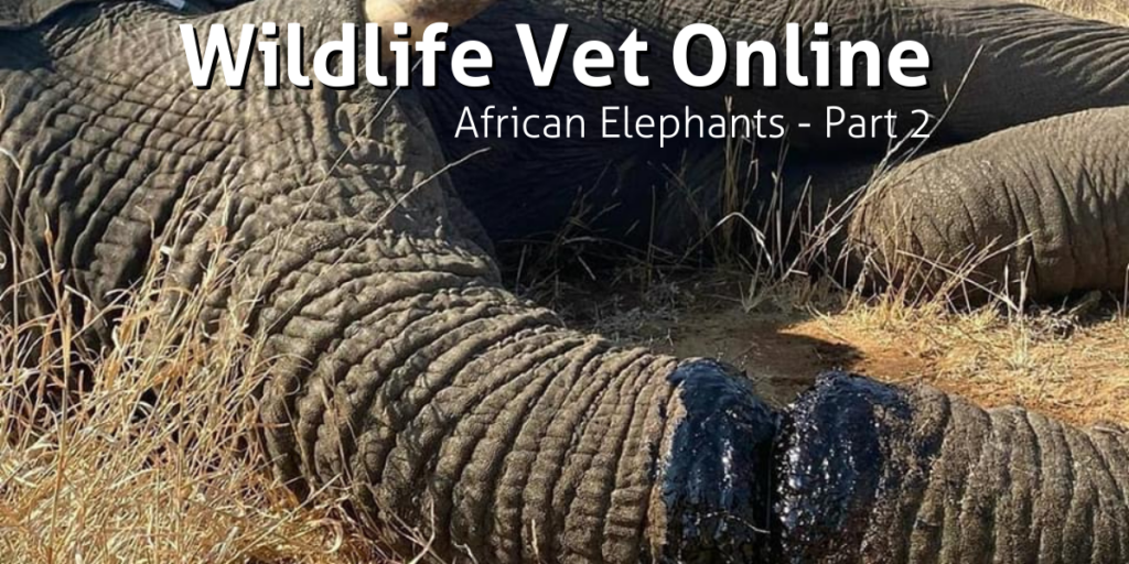Modules – Wildlife Vet Online