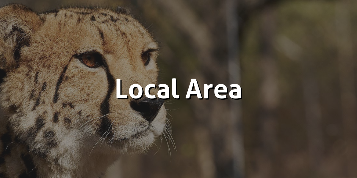 Wildlife Vet Experience – Wildlife Vet Online