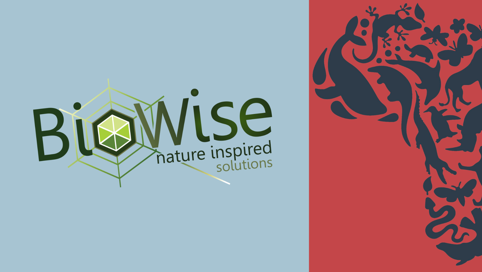 Events – Wildlife Vet Online